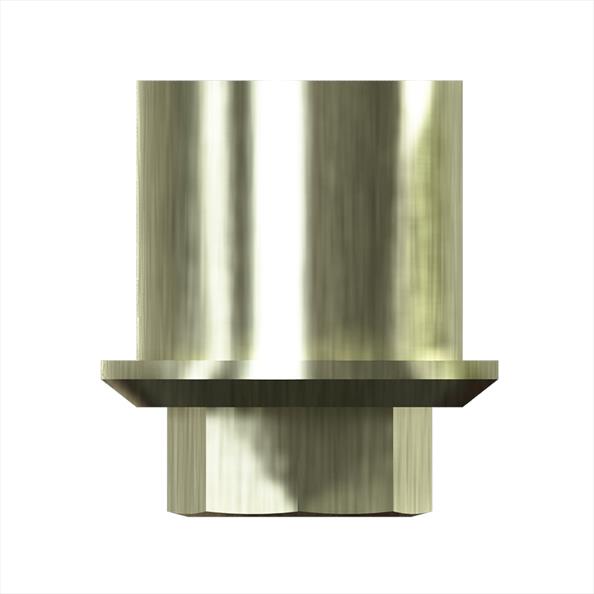 Non-rotational Au/Pd Screw-retained